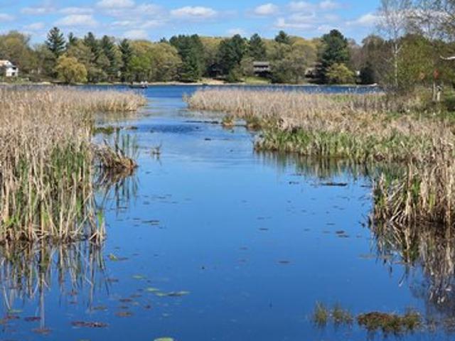 NE W Fawn Lake Rd, Stacy, MN 55079