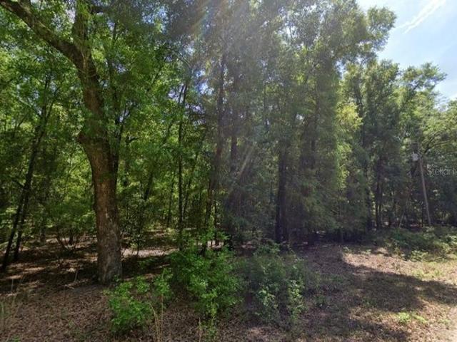 NE Willow Bend Ter, Lee, FL 32059