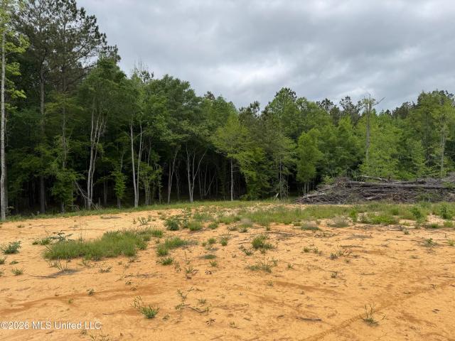 NE Allred Road, Eupora, MS 39744