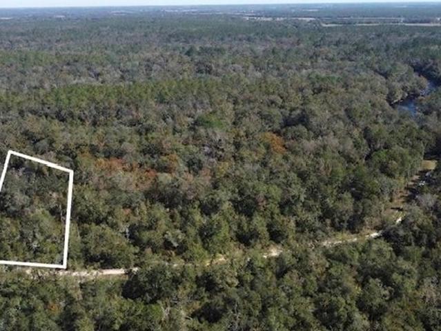 NE Chervil Dr, Lee, FL 32059