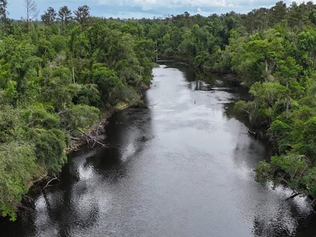 NE Chervil Dr, Lee, FL 32059