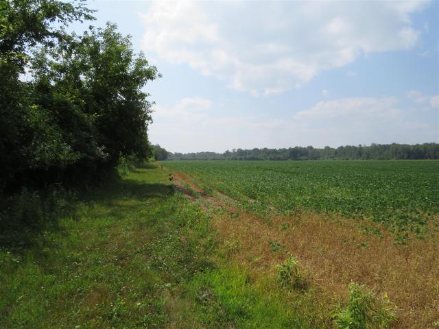 NE County Line Road