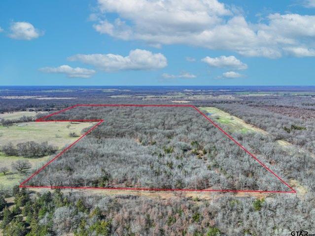 Ne County Road 2160, Mount Vernon, TX 75457