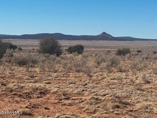 NE Double Back Dr, Seligman, AZ 86337