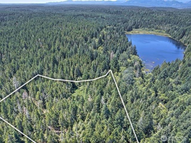 NE Eagle Creek Ln, Tahuya, WA 98528