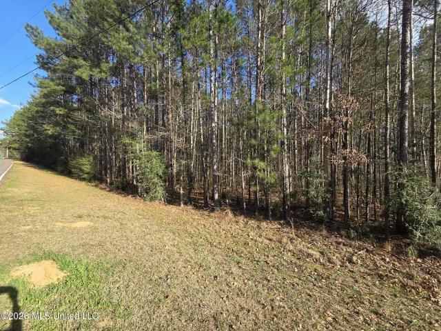 NE Fair River Drive, Brookhaven, MS 39601
