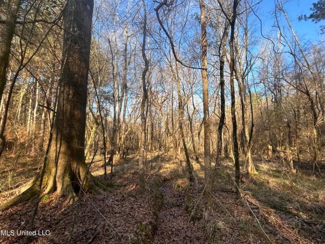 NE Furrs Mill Drive, Wesson, MS 39191