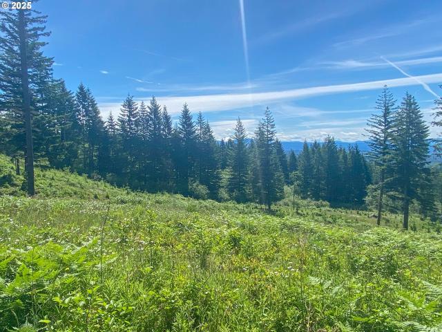 NE Hancock Rd, Unit 2, Camas, WA 98607 | MLS #280883 | Compass