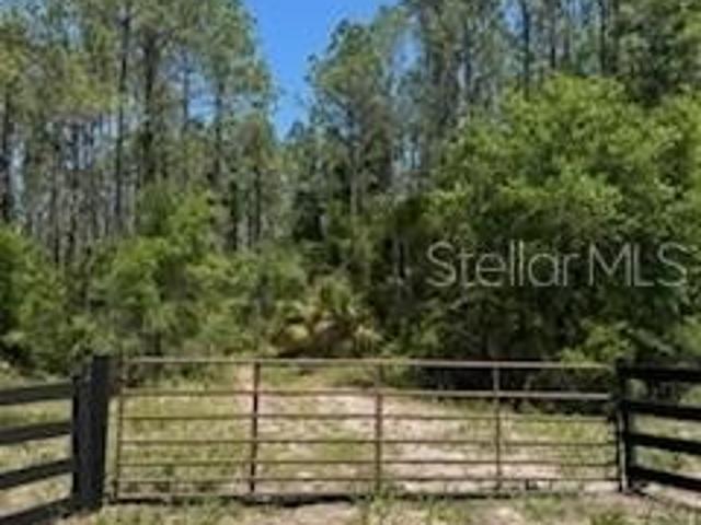 NE Highway 353, Old Town, FL 32680