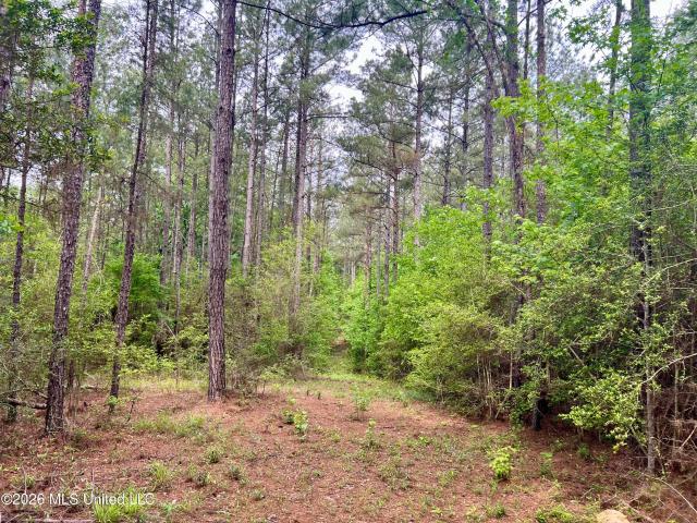NE Highway 44, Summit, MS 39666