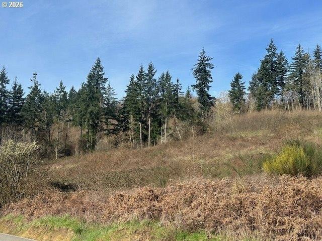 NE Jenny Creek Rd, La Center, WA 98629