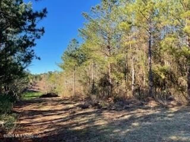 NE Linwood Ln, Brookhaven, MS 39601