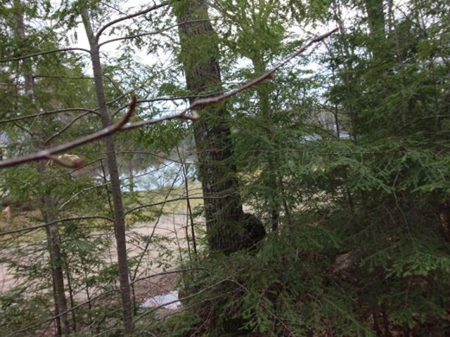 Ne Pond Rd Lot, Milton, Plot For Sale