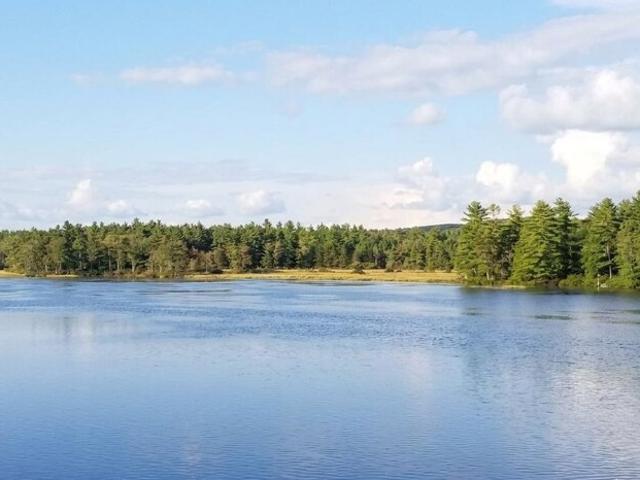 Ne Pond Rd Lot,milton, Plot For Sale