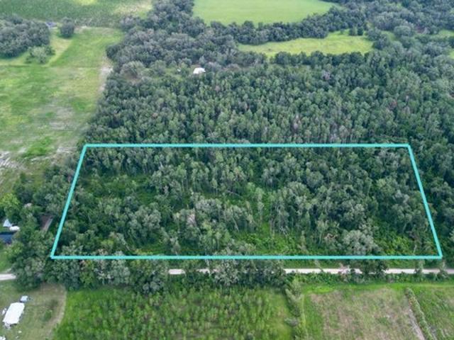 NE Sage Rd, Mayo, FL 32066
