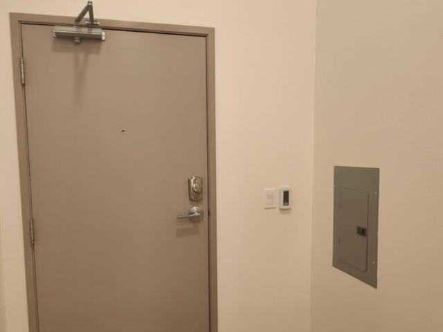 NE Seattle whole apt sublet