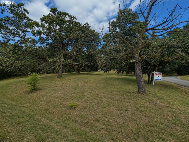 NE Sunnyview DR
