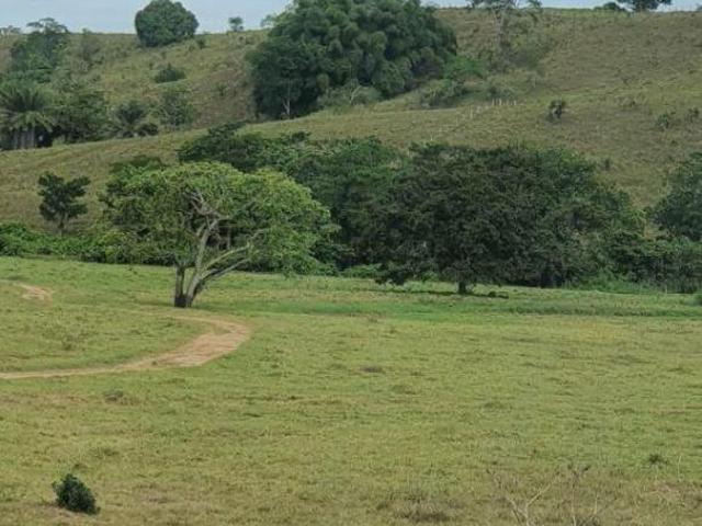 Nem todo terreno entrega a tranquilidade que você procura