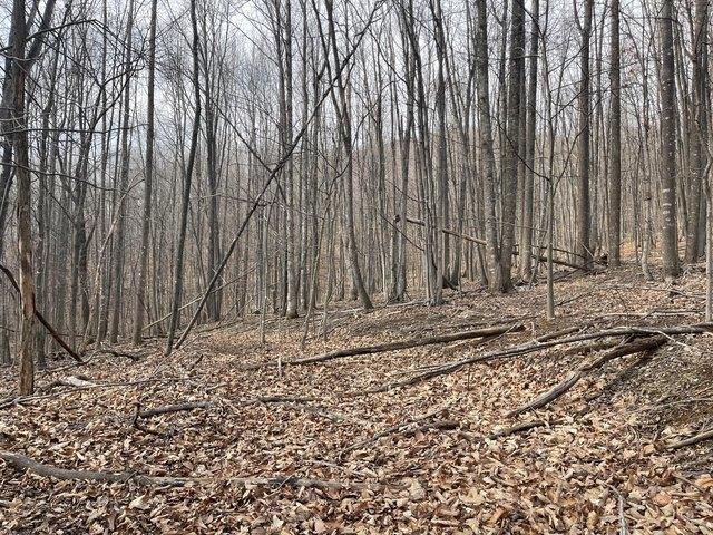 Nemmo Rd, Vinton, VA 24179
