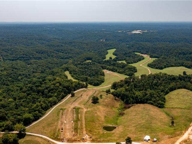 Neon Sky Lot 1 Drive Lot 1