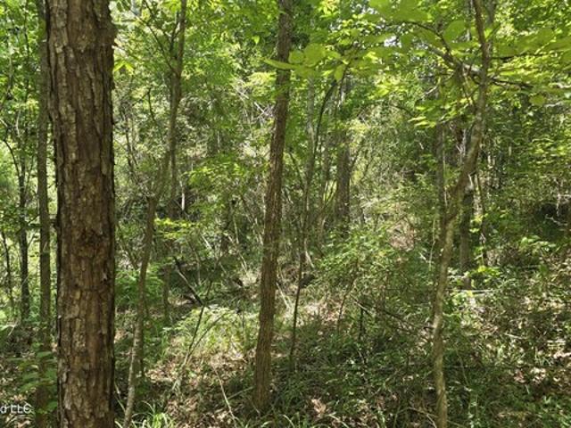 Neal Posey Rd, McCall Creek, MS 39647