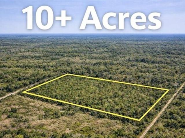 Neal Rd Lot,punta Gorda, Plot For Sale