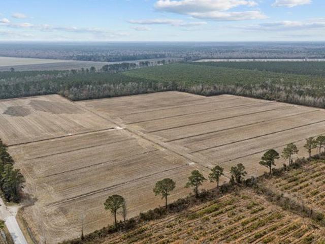 Neals Creek Rd, Bayboro, NC 28515