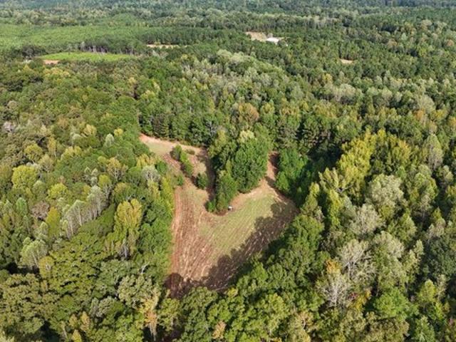 Near Mitchell Rd, Greenville, AL 36037