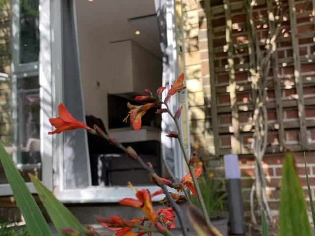 Near beach/Short walk to train station & town