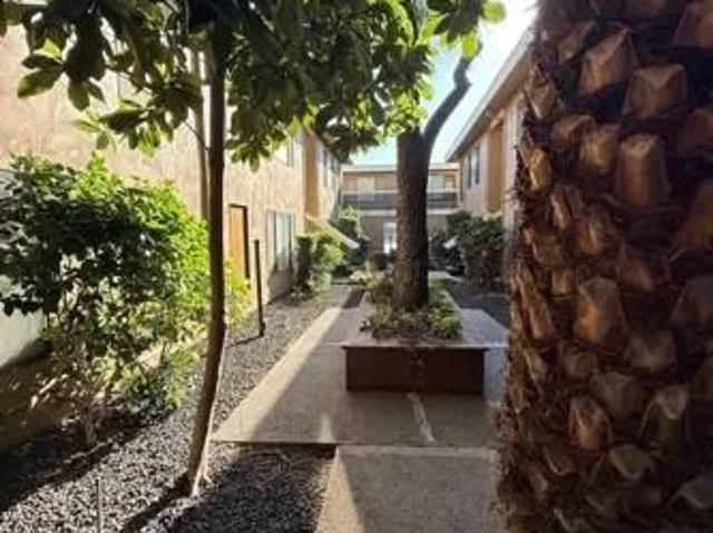 Near Everything, All Amenities! 1616 Q Street, Camellia Court Apartments 1 Bedroom Apartment for Rent at 1616 Q St, Sacramento, CA 95811 Midtown