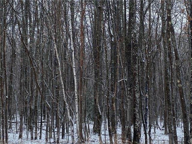 Near Seven Mile Rd, Herbster, WI 54844