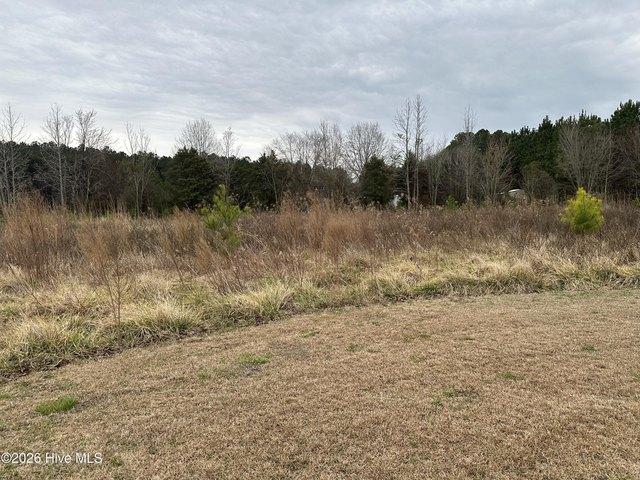 Near 18 Taylor Ln, Clarendon, NC 28432