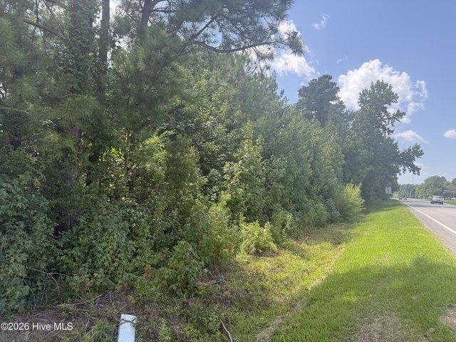 Near 26880 Andrew Ja Highway E, Delco, NC 28436