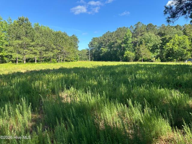 Near 594 Big Cypress Road