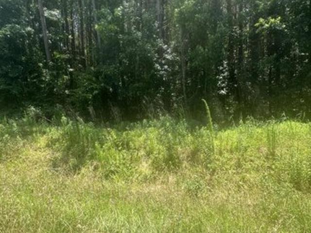 Near 721 Joe Piver R Rd, Chadbourn, NC 28431