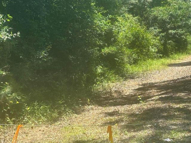 Near 721 Joe Piver Road
