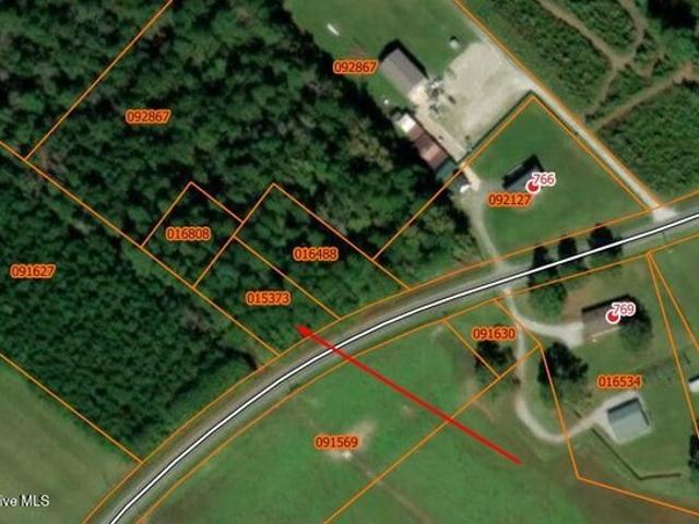 Near 855 Furnie Hamm Rd, Clarendon, NC 28432