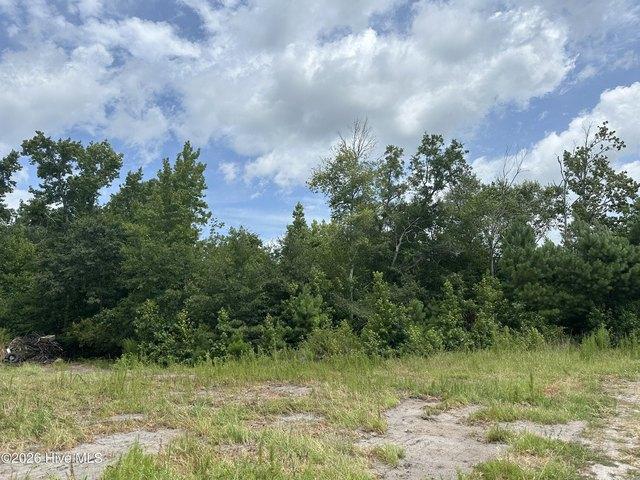 Near 99 Andrews Lake Dr, Tabor City, NC 28463