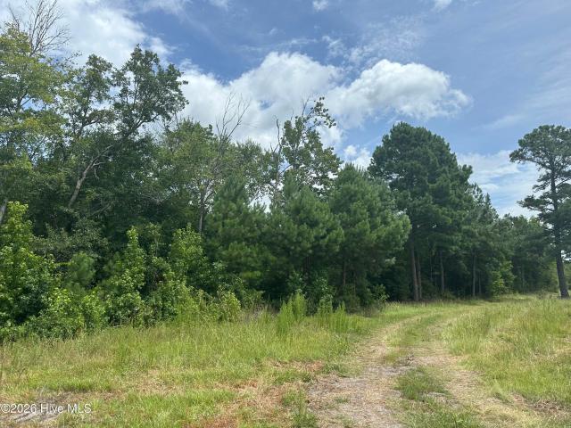 Near 99 Andrews Lake Drive