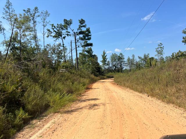 Nebo Rd, Coila, MS 38923