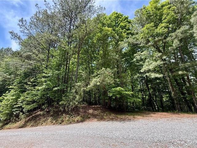 Nectar Ln, Ellijay, GA 30540
