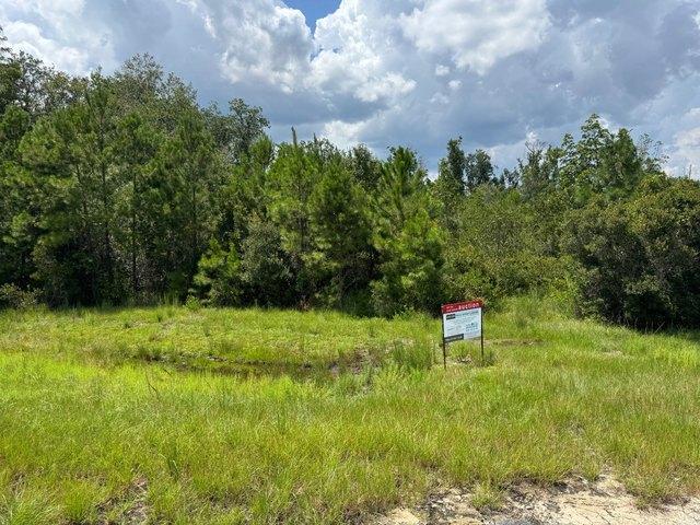 Nec of Highway 31 and Madison Hwy, Valdosta, GA 31601