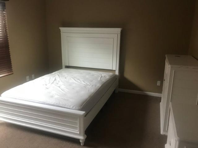 Need male or female roommate