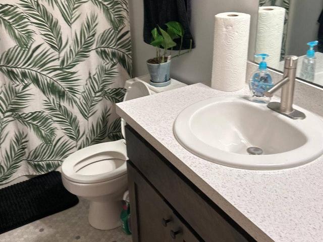 Need a roommate