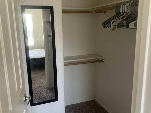 Need a roommate