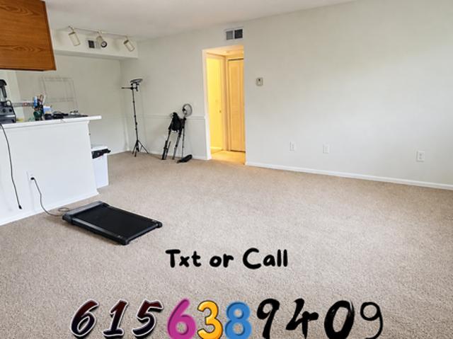 Need a roommate. URGENT