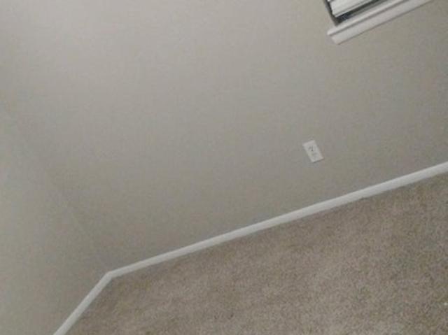 Need a roomate