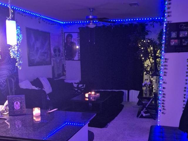 Need a roomie ✨️