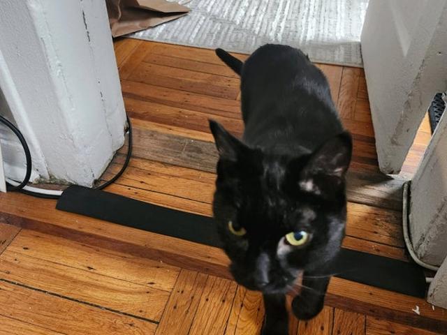 Need roommate in hoboken