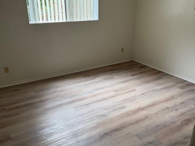 Need roommate